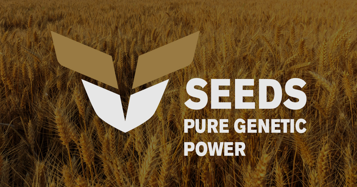 Pure Genetic Power - Virtue Seeds
